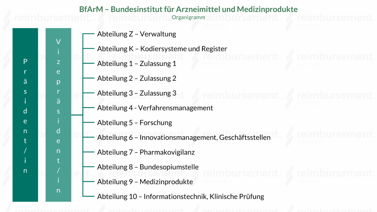 BfArM - Hauptaufgaben des Bundesinstituts zusammengefasst
